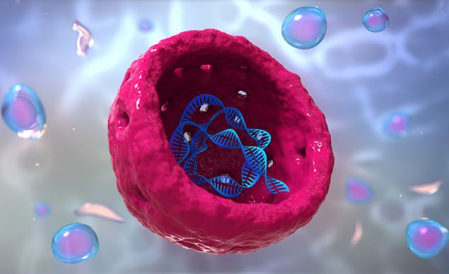 Functions Of The Nucleus: What Does The Cell Center Do?