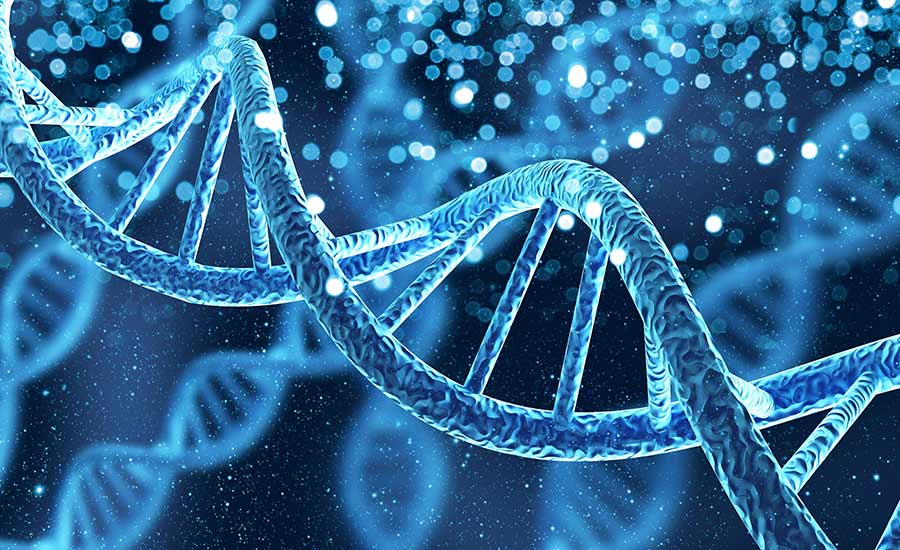What Is A Gene Mutation And Why Does It Happen?