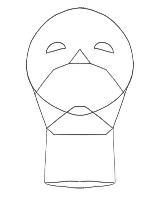 Drawing Head Angles — A Visual Guide for Beginners