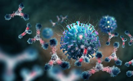 How Do Viruses Spread & Why They Make You Sick?