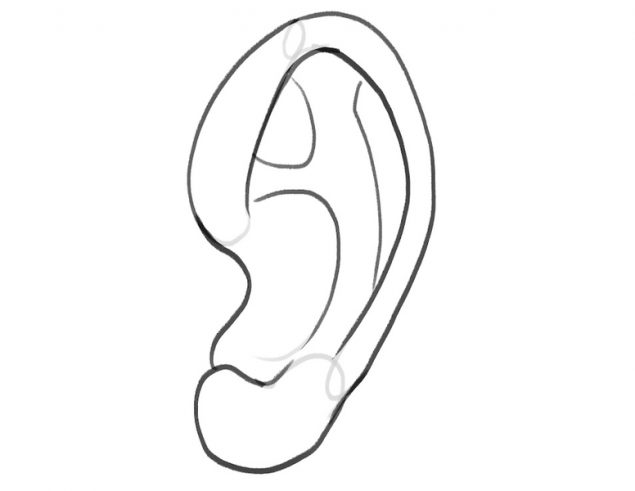 How To Draw Ears In 8 Steps [Video + Illustrations]