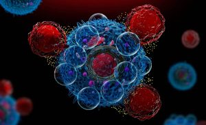 Types Of T-Cells And Their Role In Your Immune System | Blog | BIOWARS
