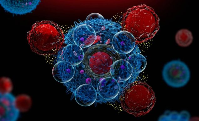 Types Of T-Cells And Their Role In Your Immune System | Blog | BIOWARS