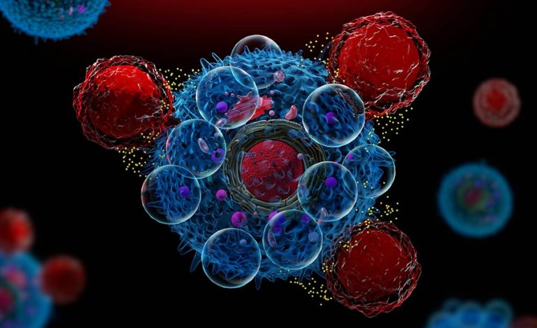 Types Of T-Cells And Their Role In Your Immune System | Blog | BIOWARS