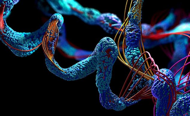 Where Are Proteins Made In A Cell? All You Need To Know