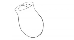How To Draw A Rose In 6 Steps [Video + Illustrations]