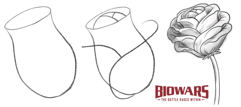 How To Draw A Rose In 6 Steps [Video + Illustrations]