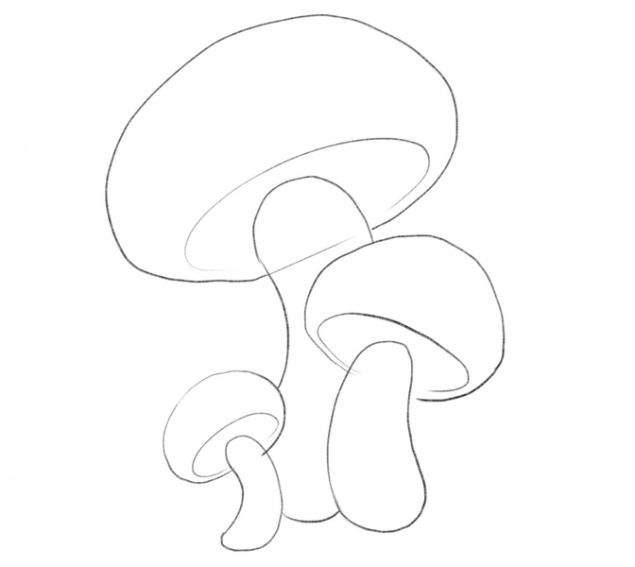 Mushroom Drawing In 7 Easy Steps [Video + Illustrations]