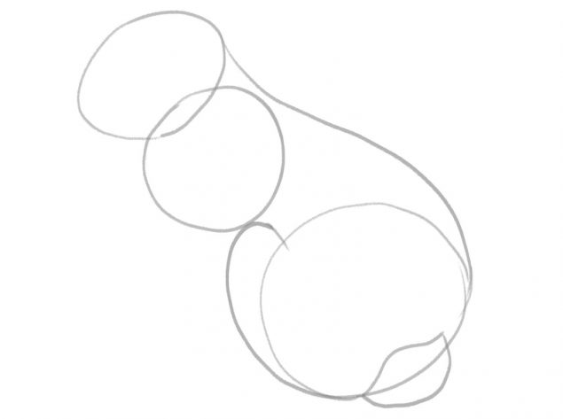 Bunny Drawing In 7 Easy Steps [Video + Illustrations]