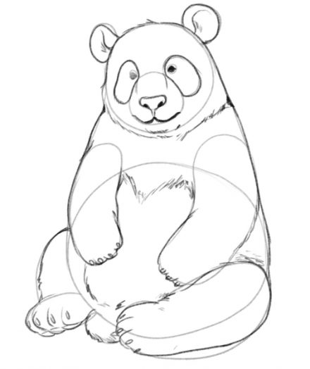 Easy Panda Drawing Guide In 5 Steps [Video + Illustrations]