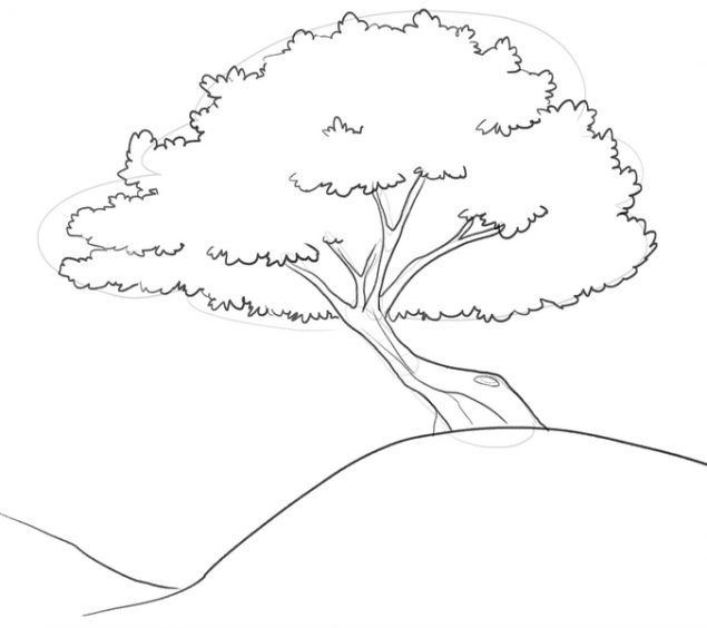 Easy Tree Drawing Tutorial With Video & Images