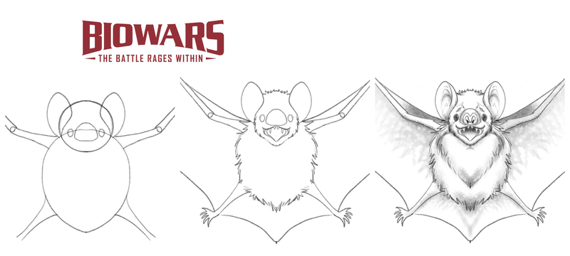 Simple Bat Drawing Guide In 7 Steps [Video + Images]