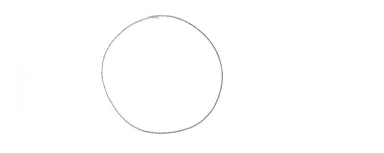 Dolphin Drawing Beginner’s Guide [6 Steps + Video]