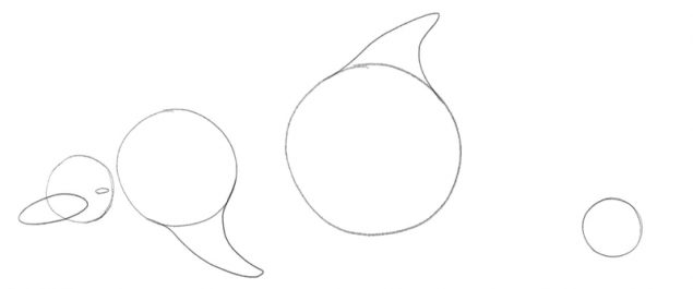 Dolphin Drawing Beginner’s Guide [6 Steps + Video]
