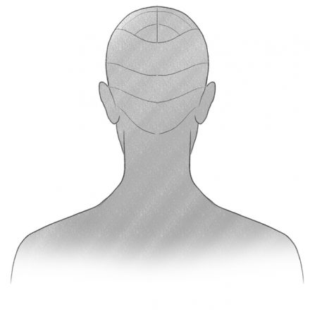 How To Draw Braids For Beginners [Regular, Box, Cornrows]