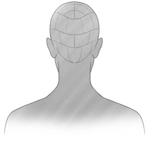 How To Draw Braids For Beginners [Regular, Box, Cornrows]