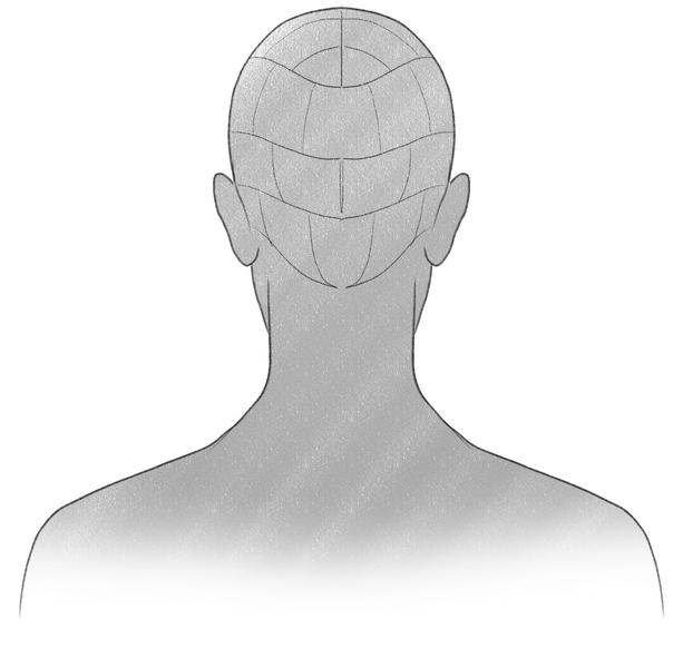 How To Draw Braids For Beginners [Regular, Box, Cornrows]