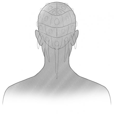 How To Draw Braids For Beginners [Regular, Box, Cornrows]