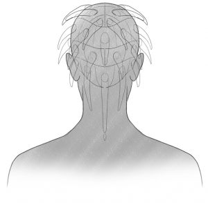 How To Draw Braids For Beginners [Regular, Box, Cornrows]