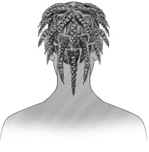 How To Draw Braids For Beginners [Regular, Box, Cornrows]