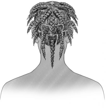 How To Draw Braids For Beginners [Regular, Box, Cornrows]