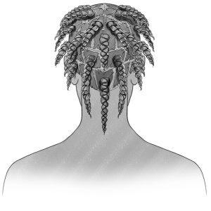 How To Draw Braids For Beginners [Regular, Box, Cornrows]