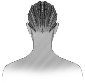 How To Draw Braids For Beginners [Regular, Box, Cornrows]