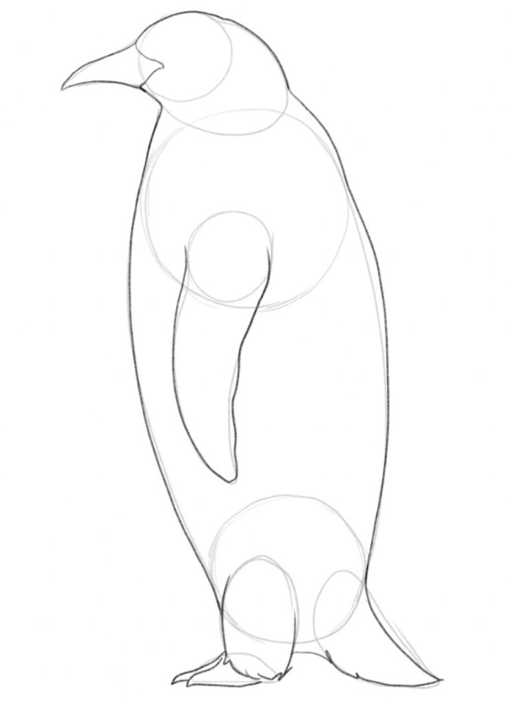 Penguin Drawing For Beginners [Front & Side View]