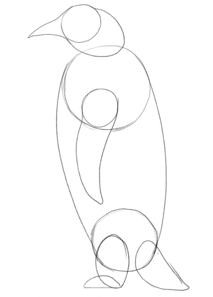 Penguin Drawing For Beginners [Front & Side View]