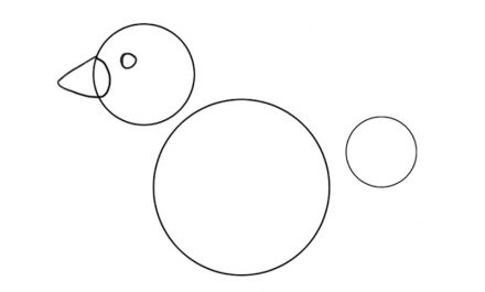 Bird Drawing Guide For Beginners [5 Steps, Video + Images]