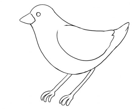 Bird Drawing Guide For Beginners [5 Steps, Video + Images]