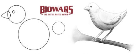 Bird Drawing Guide For Beginners [5 Steps, Video + Images]