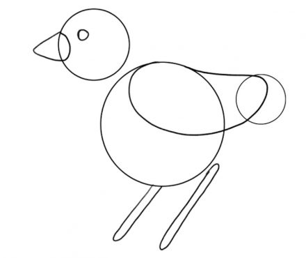 Bird Drawing Guide For Beginners [5 Steps, Video + Images]