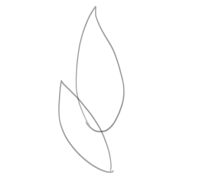 Fire Drawing Guide In 4 Simple Steps [Video + Images]