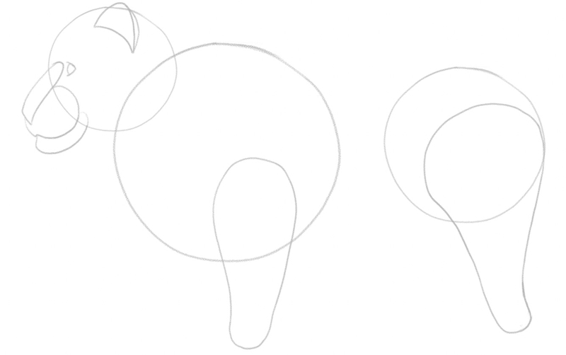 Lion Drawing Guide In 5 Steps [Video + Images]