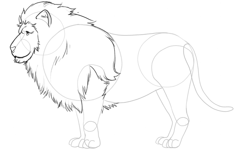 Lion Drawing Guide In 5 Steps [Video + Images]
