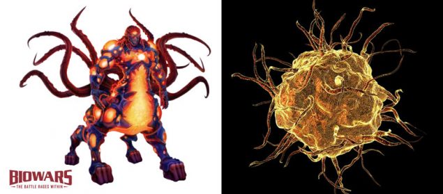 How Do Macrophages Function?