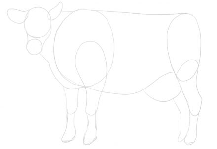 Cow Drawing 101: A Simple 5-Step Guide [Video + Images]