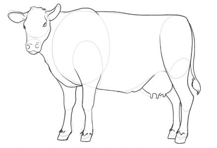 Cow Drawing 101: A Simple 5-Step Guide [Video + Images]