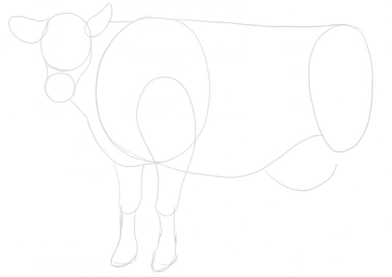 Cow Drawing 101: A Simple 5-Step Guide [Video + Images]