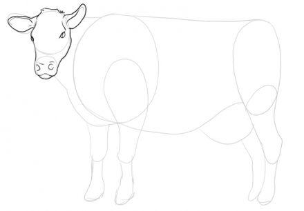 Cow Drawing 101: A Simple 5-Step Guide [Video + Images]