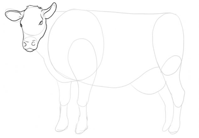 Cow Drawing 101: A Simple 5-Step Guide [Video + Images]