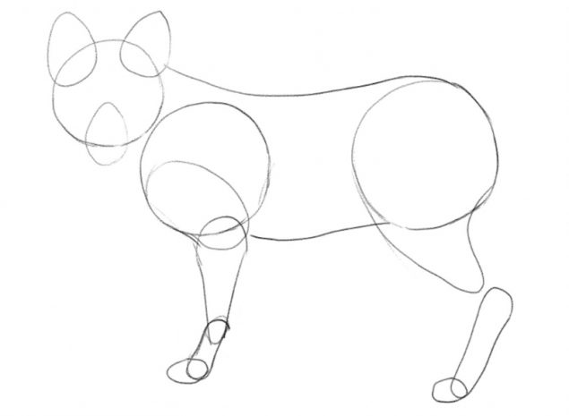 Fox Drawing Guide In 6 Steps For Beginners [Video + Images]