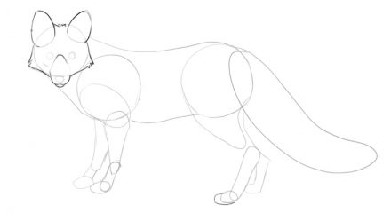 Fox Drawing Guide In 6 Steps For Beginners [Video + Images]