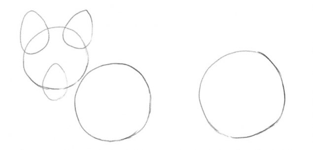 Fox Drawing Guide In 6 Steps For Beginners [Video + Images]