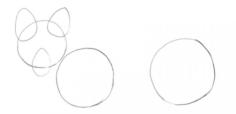 Fox Drawing Guide In 6 Steps For Beginners [Video + Images]