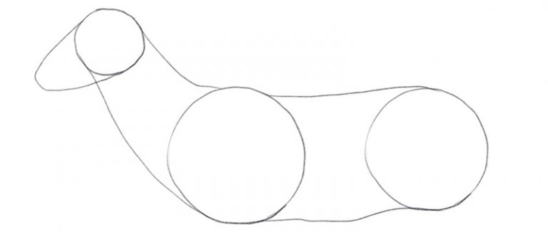 Deer Drawing Guide: 7 Steps For Beginners [Video + Images]