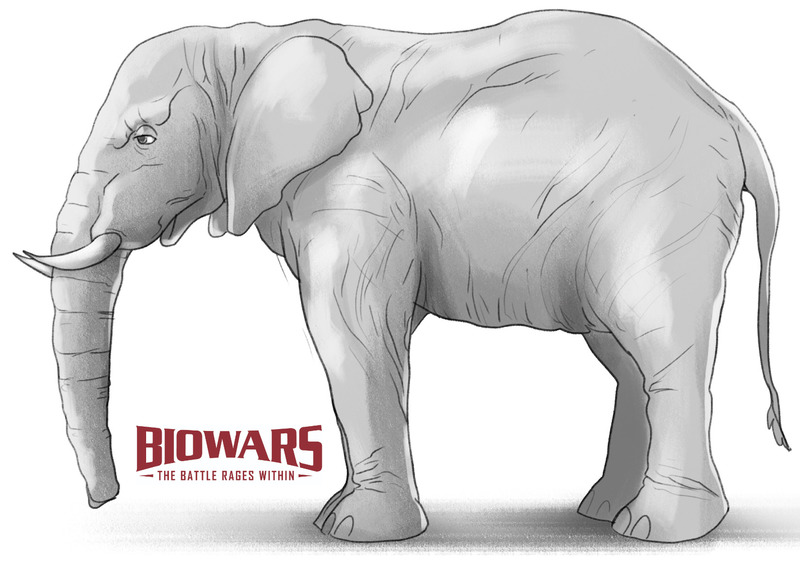 Elephant Drawing In 6 Steps For Beginners [Video + Images]