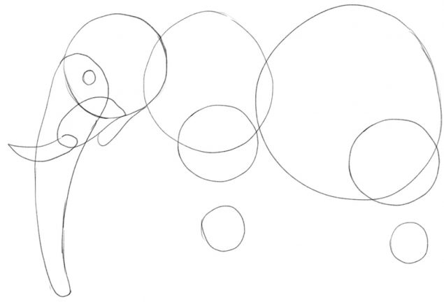 Elephant Drawing In 6 Steps For Beginners [Video + Images]