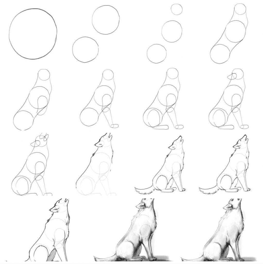 Wolf Drawing In 5 Steps: Beginners’ Guide [Video + Images]